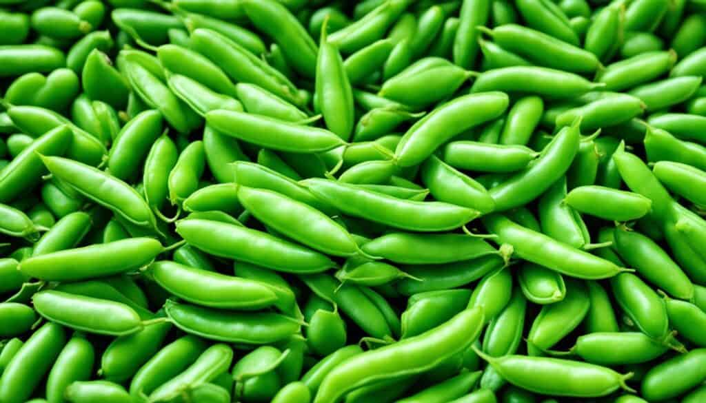 Fresh Flat Green Beans: Your Healthy Choice