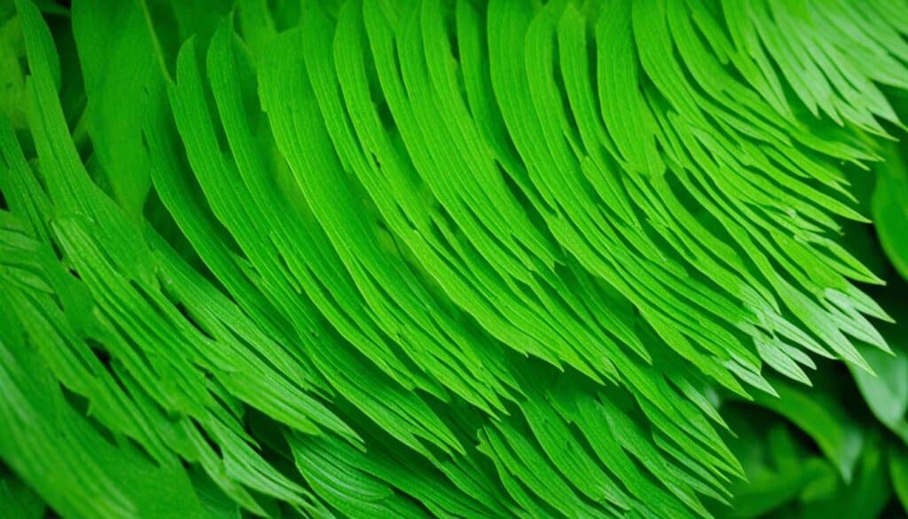 Discover Japanese Vegetables: A Culinary Journey