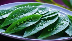 Discover Alugbati in English: Spinach's Cousin