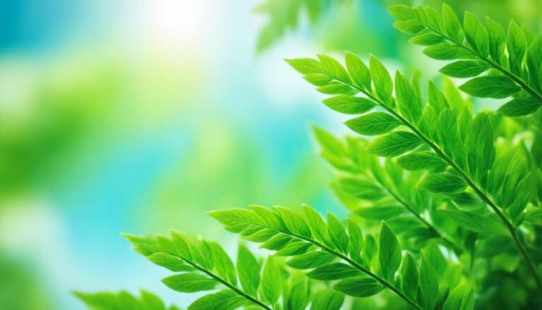 Discover What Pechay Is Called in English