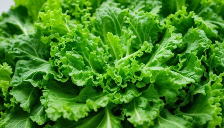 Discover What Pechay Is Called in English